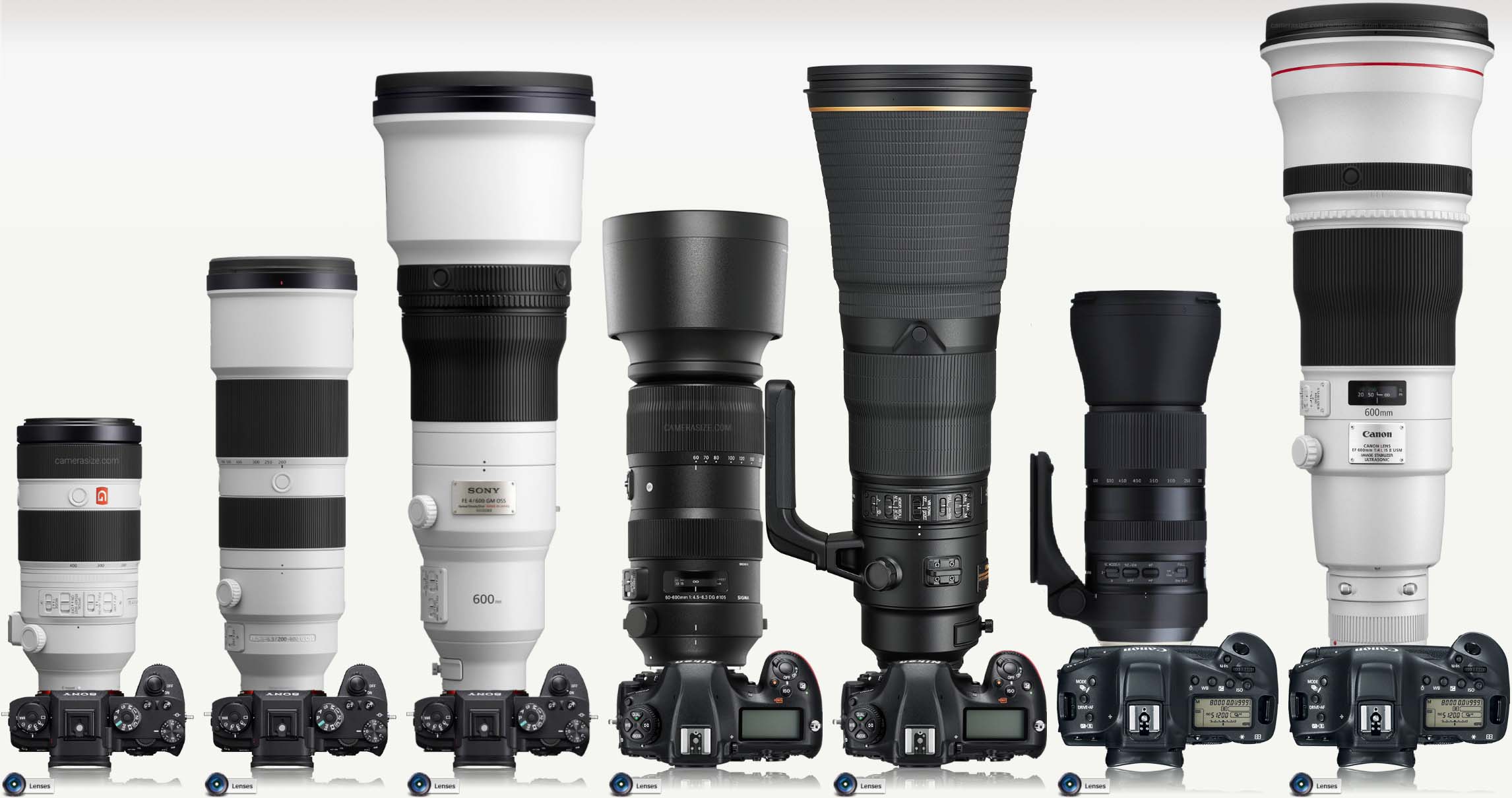 Size Comparison Sony 600mm F 4 GM And 200 600mm F 5 6 6 3 Vs Nikon And