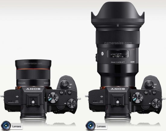 Size Comparison: Samyang 24mm f/2.8 vs. Sigma 24mm f/1.4 - Sony Addict