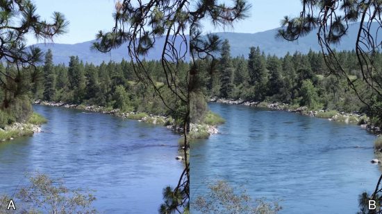 Sony vs Fujifilm Color Science Comparison - Sony Addict