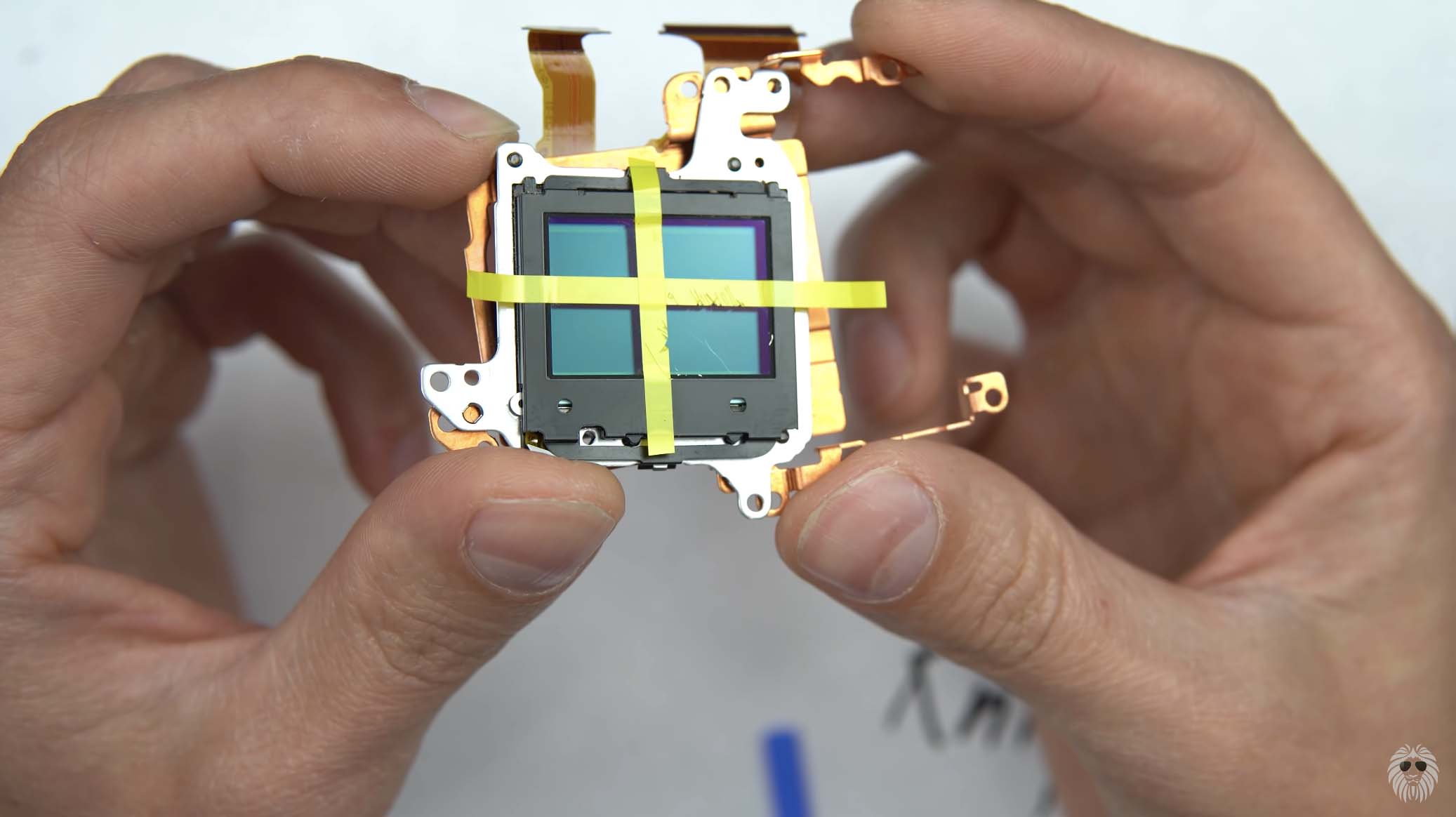 Sensor Top Glass Testing on Sony APS-C Sensor: Dust, Dirt, Oils, and ...