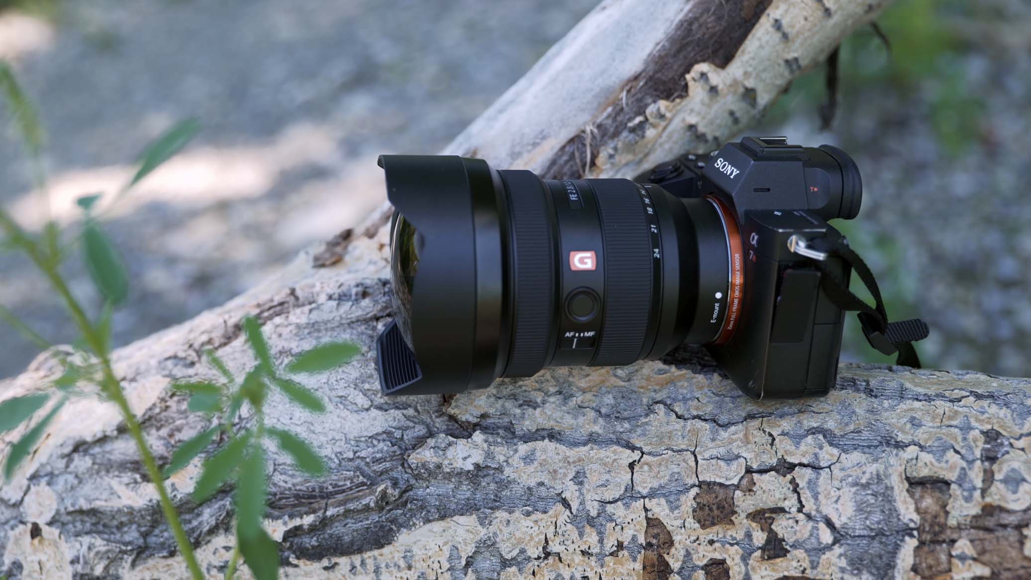 DPRTV: Sony 12-24mm f/2.8 GM Review - Sony Addict
